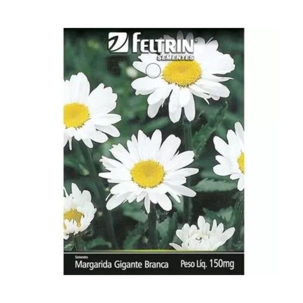 SEMENTE FELTRIN 150MG MARGARIDA GIGANTE BRANCA - lavagnoli
